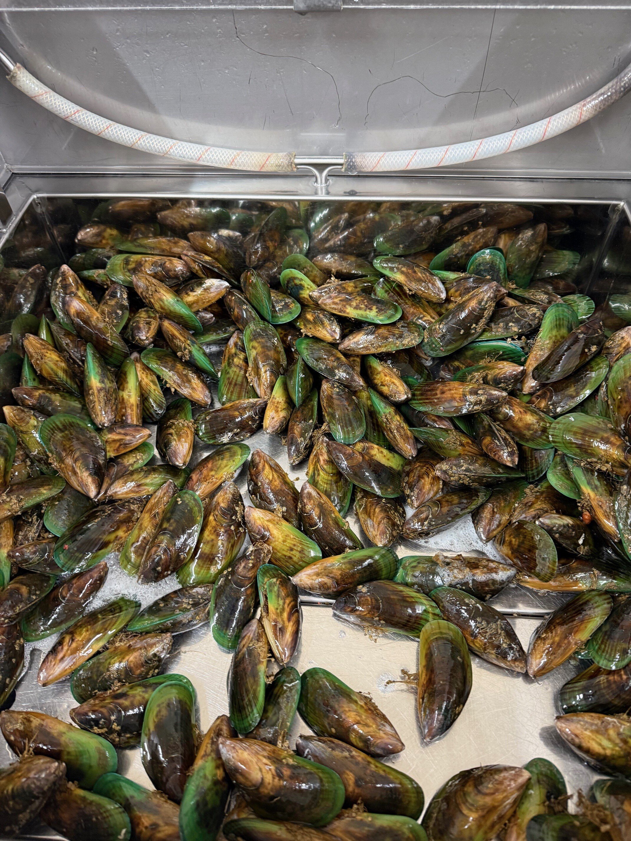 Enjoying New Zealand through Food and Wine