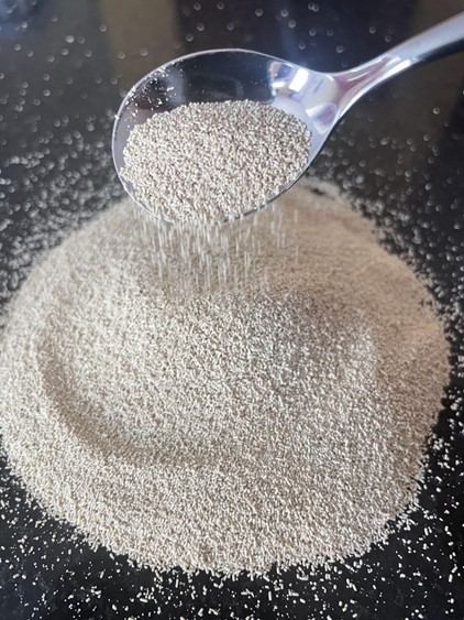 Everything You Need to Know about Yeast