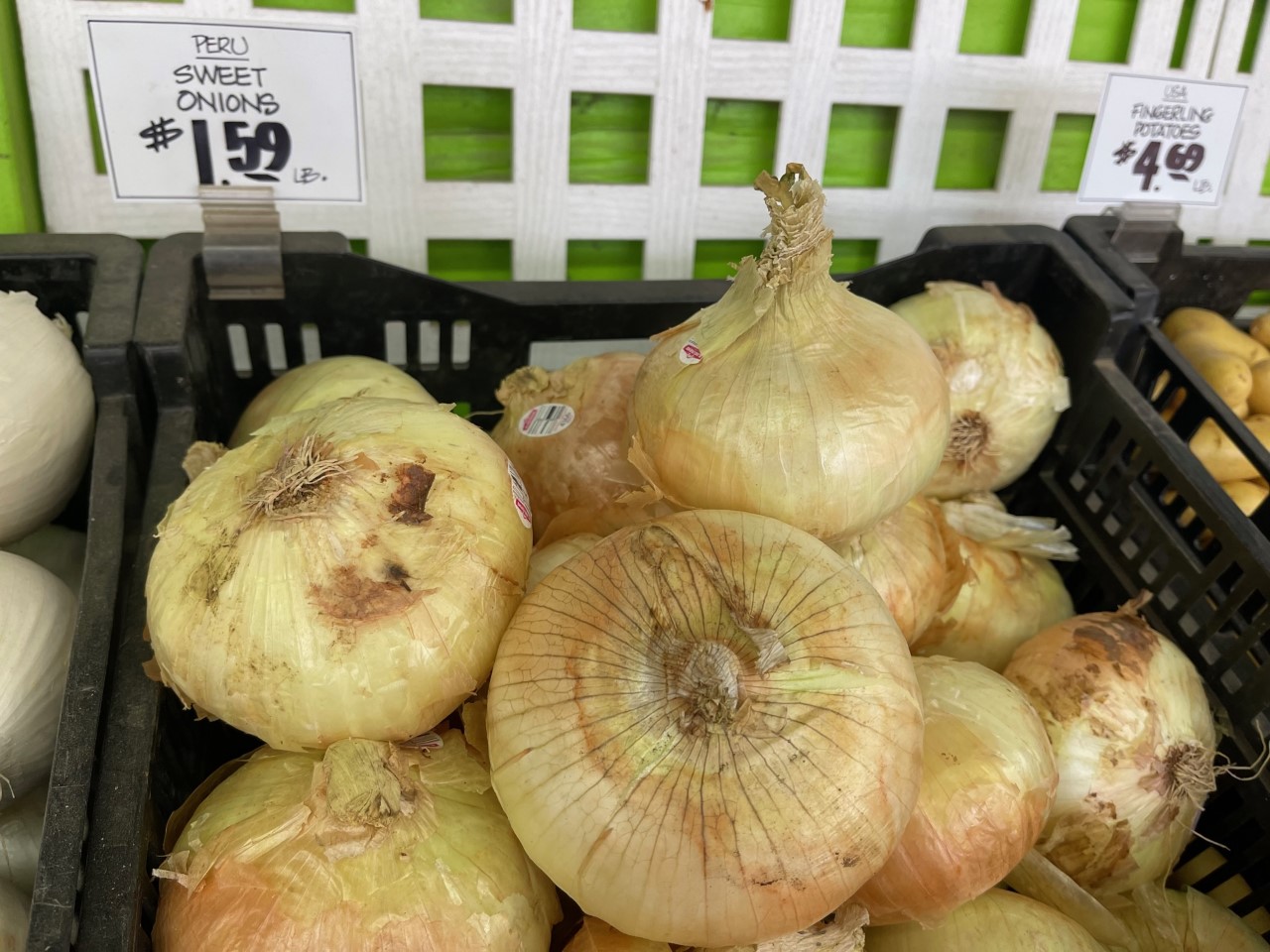 Celebrate the Season with Spring Onions