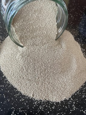 Everything You Need to Know about Yeast