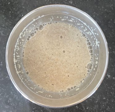 Everything You Need to Know about Yeast
